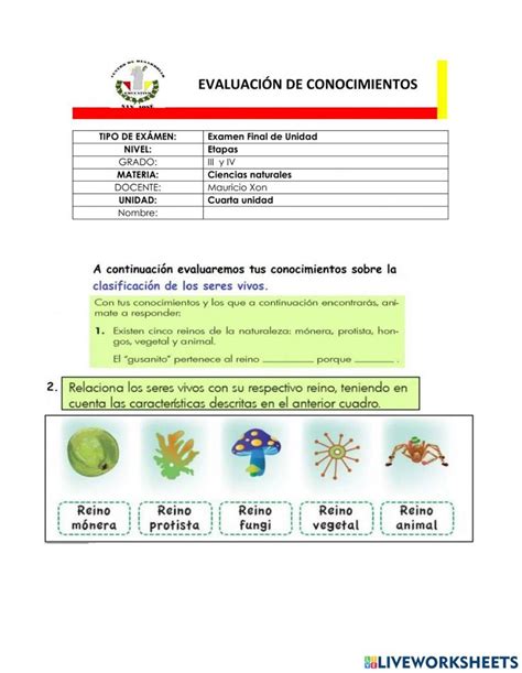 Examen Final Etapas Worksheet Ciencias De La Naturaleza Ciencias
