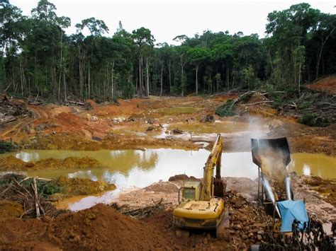 Problemas Ambientales En Venezuela