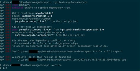 Unable To Resolve Dependency Tree Error While Npm Install · Issue 375 · Igniteuiigniteui