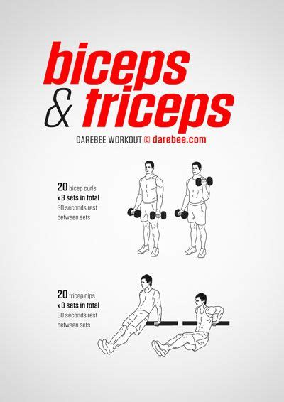 Darebee Workouts Tricep Workout With Dumbbells Bicep And Tricep