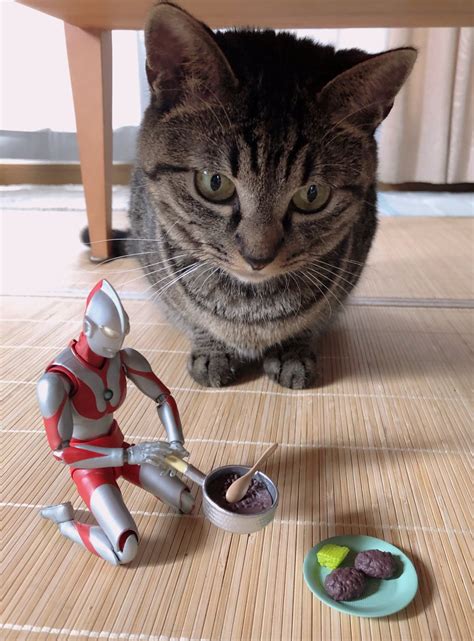 ぱんだ ちはる on Twitter RT athina 2021 アテチ ウルトラマン おちゃぎ でちゅ