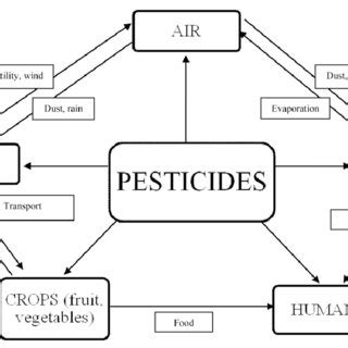 The Main Stages In Analytical Procedures For Determining Pesticides In
