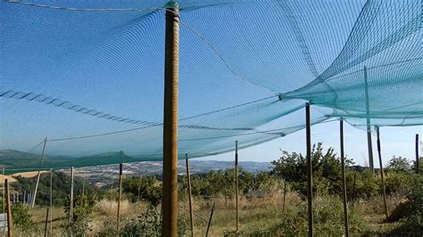 Rete Antigrandine Per L Orto Struttura Montaggio E Costo