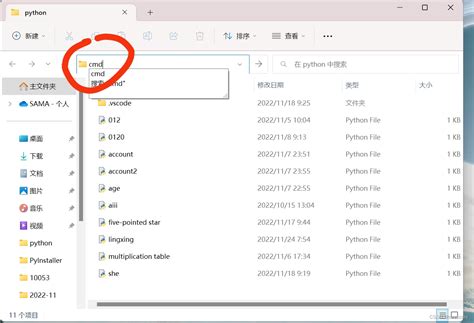 pyinstaller打包文件的方法 pyinstaller 打包可以指定文件夹吗 csdn博客