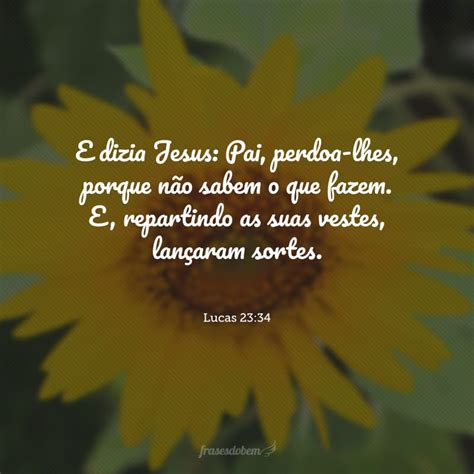 35 frases bíblicas sobre perdão que nos ensinam como nos redimir