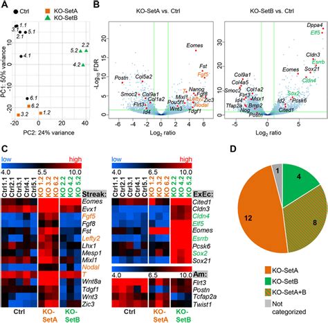 differential gene expression analysis showing a heat