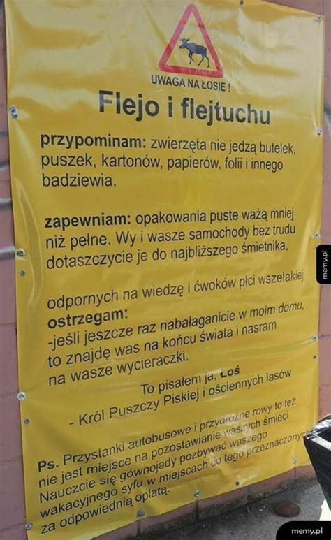 NIE BĄDŹ TAKI CIEKAWSKI BO KOCIEJ MORDY DOSTANIESZ Memy pl