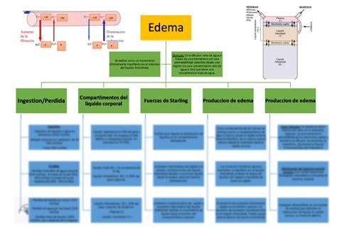 Edema Mapa Conceptual Sobre Dolo Edema Inflamacion Y Reparacion The