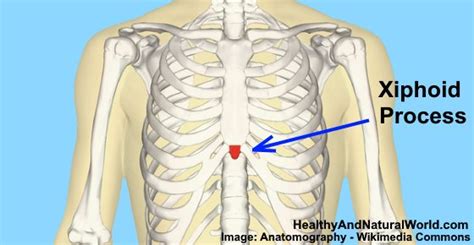 Xiphoid Process Pain Causes Symptoms When To See A Doctor