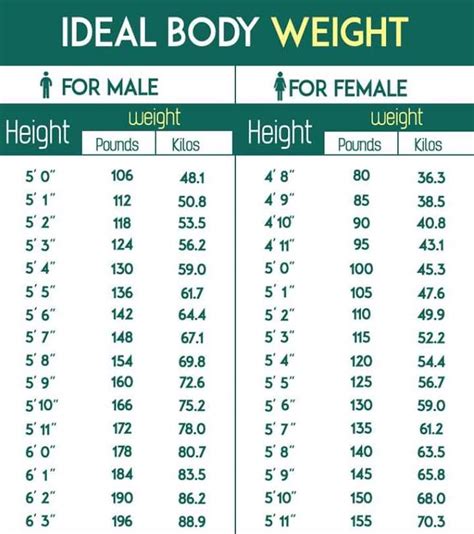 The Ideal Weight Calculator NBKomputer