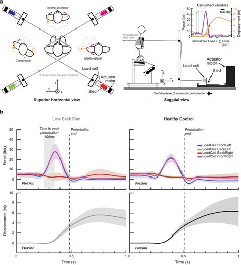 experimental schematic of perturbation device and average time series download scientific