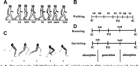 [pdf] kinematics and kinetics of gait from lab to clinic semantic scholar