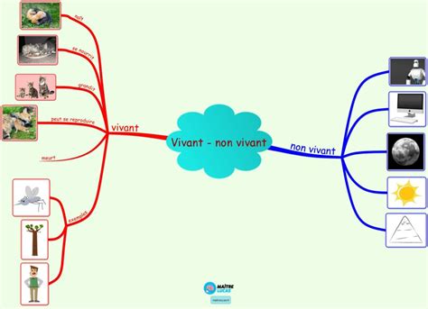 Vivant Non Vivant Vivant Non Vivant Sciences Ce2 Ce1 Images And