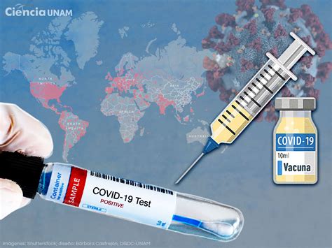 Coronavirus Su Evoluci N Hasta La Contagiosa Subvariante Eg