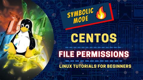 Linux File Permissions Symbolic Mode Set User And Group Permissions