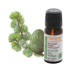 Aceite Esencial De Cedro Beneficios Y Usos EMujer