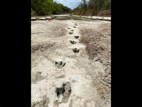 La Jornada Sequía deja al descubierto en Texas huellas de dinosaurios