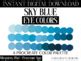 Procreate Eye Color BIG BUNDLE 22 Procreate Eye Color Palette Collection