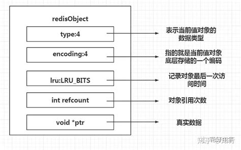 [redis] redis 数据结构 redisobject 知乎