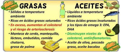 Semejanzas Y Diferencias Entre Grasas Y Aceites Mobile Legends The
