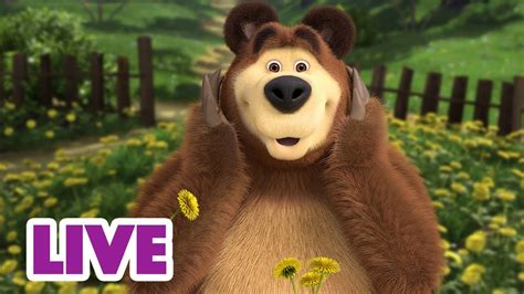 LIVE STREAM Masha And The Bear Spring Blossoms YouTube