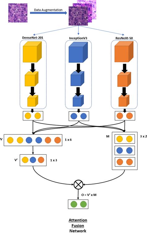 framework of proposed ensemble afn download scientific diagram