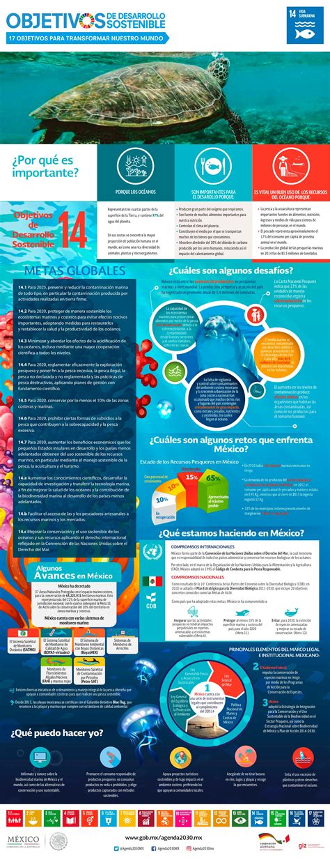 Objetivo De Desarrollo Sostenible 14 Vida Submarina Agenda 2030