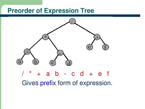ppt general tree concepts binary trees powerpoint presentation free download id 3028631