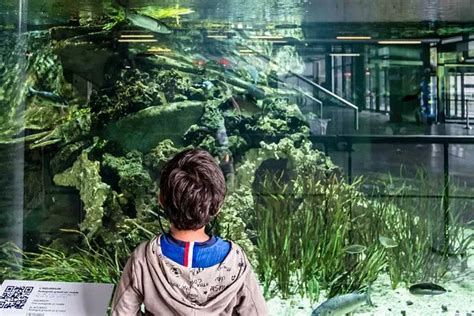 Citedessciences On Twitter Que Peut Donc Voir Un Plongeur Lorsqu