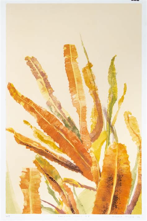 Banksia Lands 8 Linton And Kay Galleries Perth Western Australia