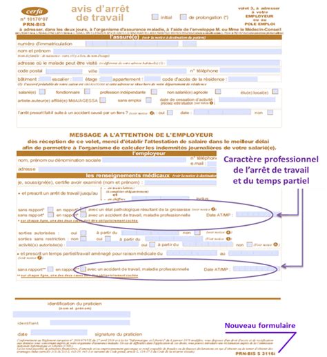 Cerfa Attestation De Salaire Accident Du Travail Ou De Vrogue The