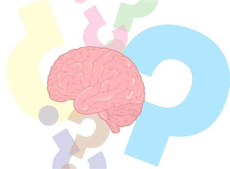 Precios De Los Estudios De Neurociencia Descubre Su Costo