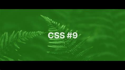 Curso B Sico De Css Desde Cero Enlaces Youtube