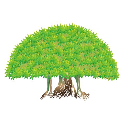 Vetor De árvore De Banyan PNG Árvore De Banyan árvore Agricultura