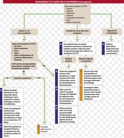 Urinary Tract Infection Excretory System Medical Guideline MRSA Super