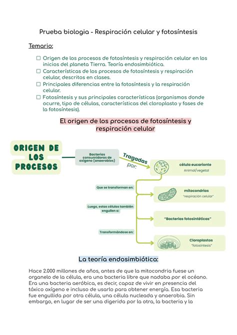 SOLUTION Prueba Biologia Respiraci N Celular Y Fotos Ntesis Studypool