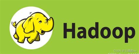 大数据 hadoop入门 hadoop大数据框架 csdn博客