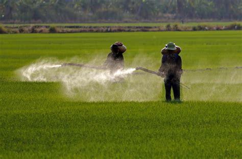 El Glifosato Un Herbicida En El Centro De La Pol Mica Verde Y Azul