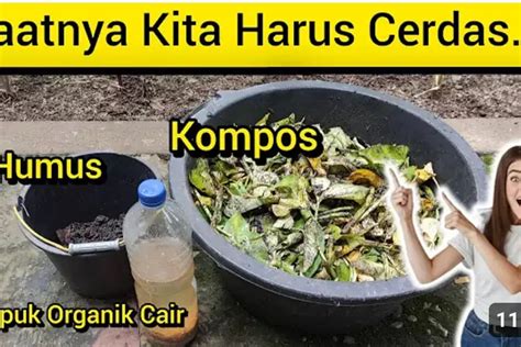 Ide Manfaat Untuk Para Petani Inilah Perbandingan Antara Kompos