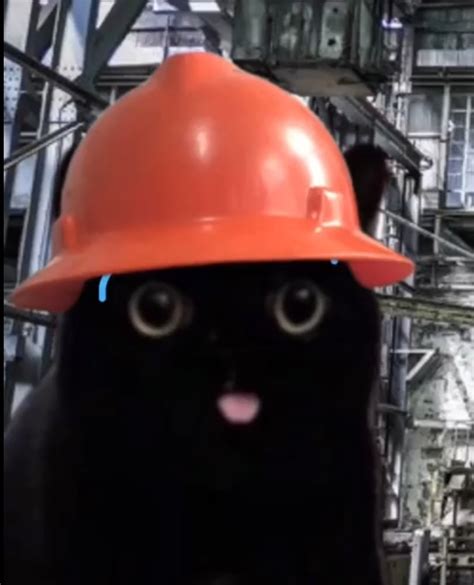 Gato Operador Industrial Meme Subido Por Bite Skull Studios Memedroid