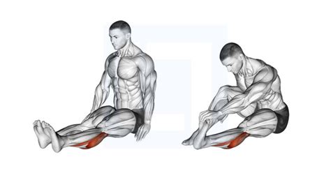 Seated Calf Stretch Guide Benefits And Form