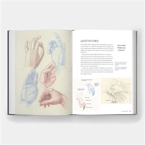 Dynamic Human Anatomy Art Techniques Crafts And Hobbies Store