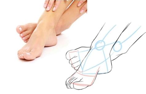 C Mo Aprender A Dibujar Pies Paso A Paso Im Genes Y Consejos