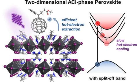 Long Lived Hot Carriers In Two Dimensional Perovskites The Role Of