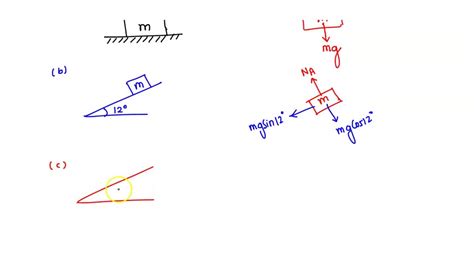 SOLVED Draw Free Body Diagrams Showing The Weight And Normal Forces On