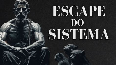 7 Maneiras Para Escapar Da CORRIDA DOS RATOS Estoicismo Muito