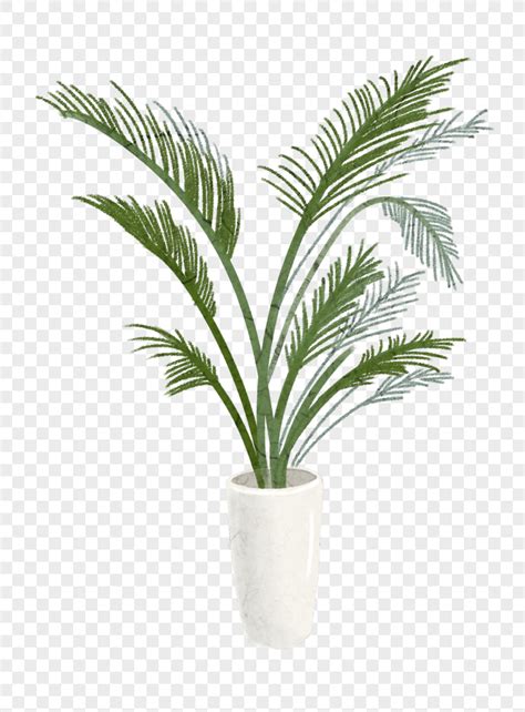 Planta En Maceta Png Im Genes Gratis Lovepik