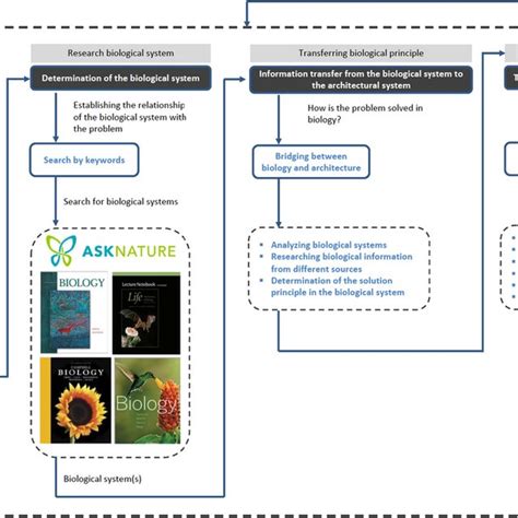 steps followed for the natural language approach download scientific diagram