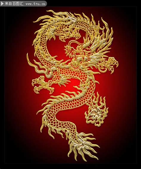 龙的图片大全大图霸气 配图网
