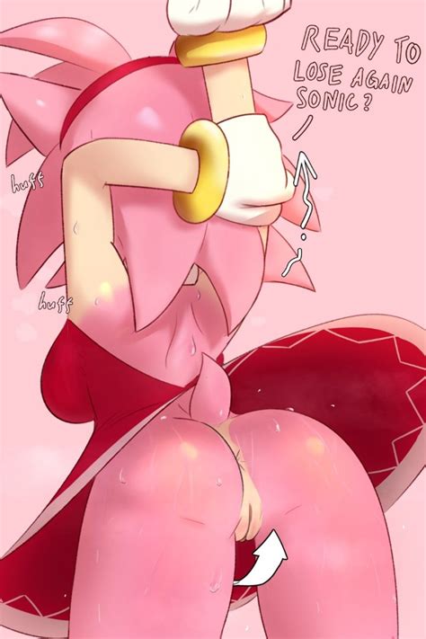 Sega Sonic Series Sonic The Hedgehog Series Amy Rose Lawgx